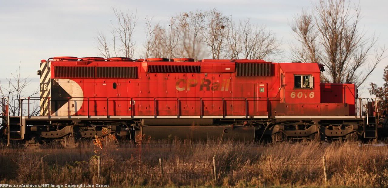 CP 6016